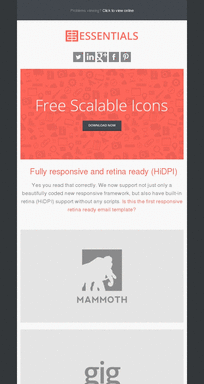 Mobile Email Templates - Examples | Pinpointe